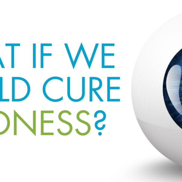 Explore Our Career Opportunities | Lions World Vision Institute