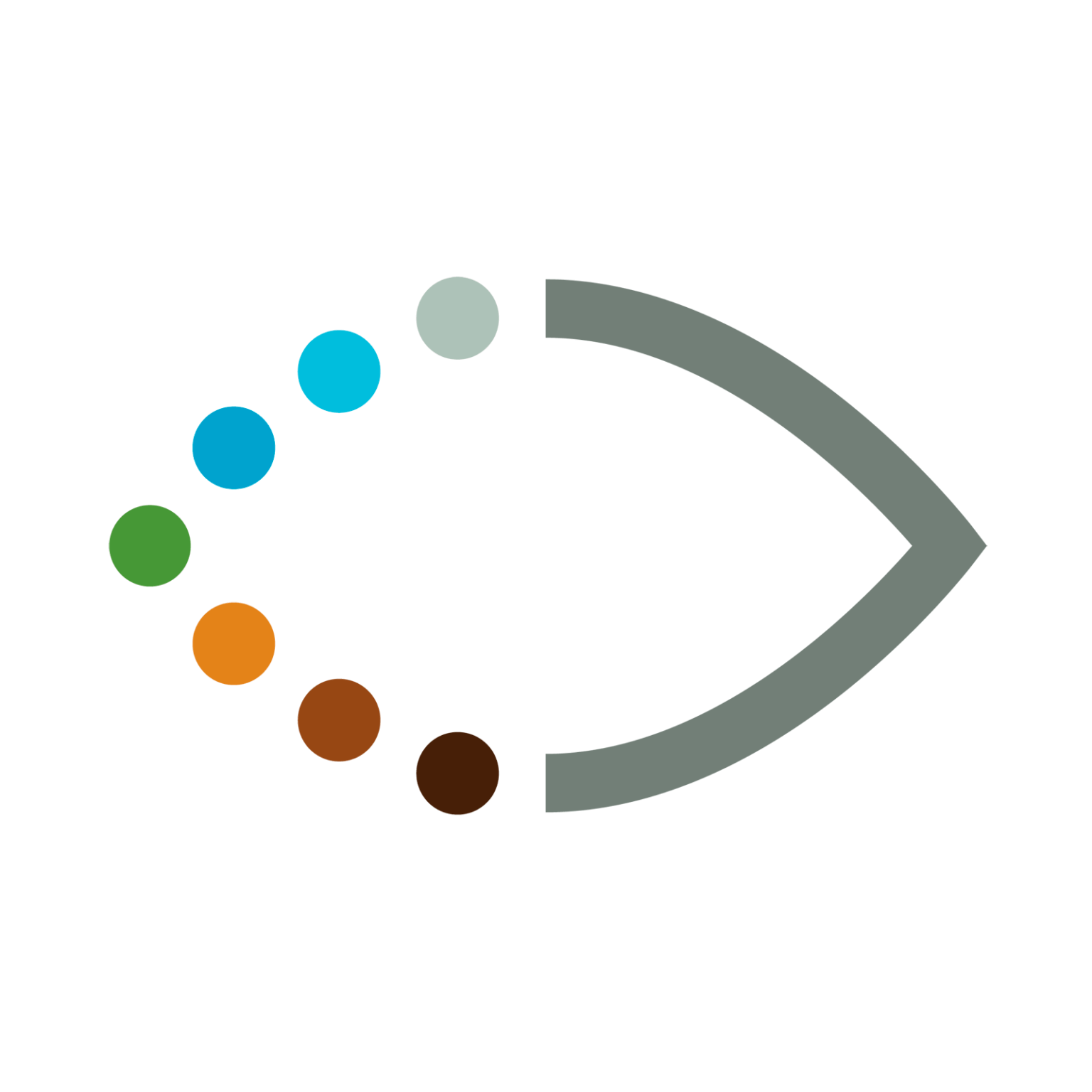 What We Do | Lions World Vision Institute